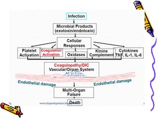 Obstetric sepsis | PPTX
