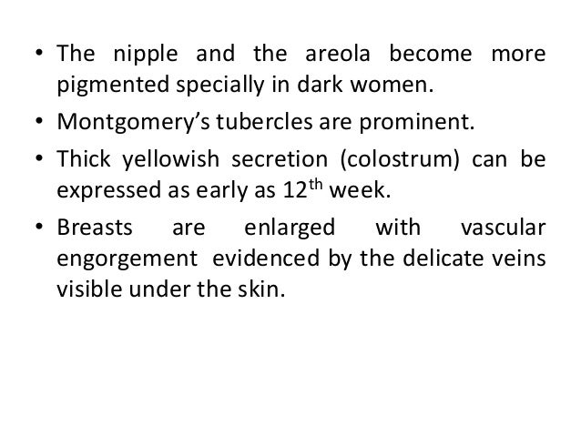 Obstetrics History taking/ Examination