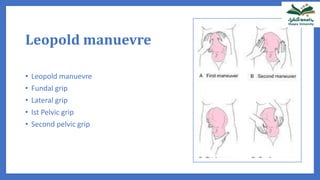 obstetrics examination .pptx