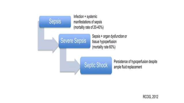 OBSTETRICS SEPSIS - BUNDLE APPROACH.pptx