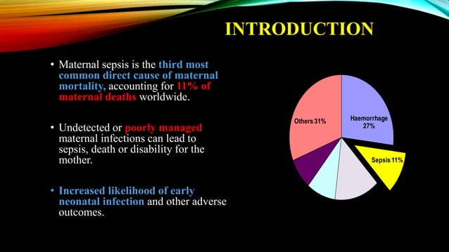 OBSTETRICS SEPSIS - BUNDLE APPROACH.pptx