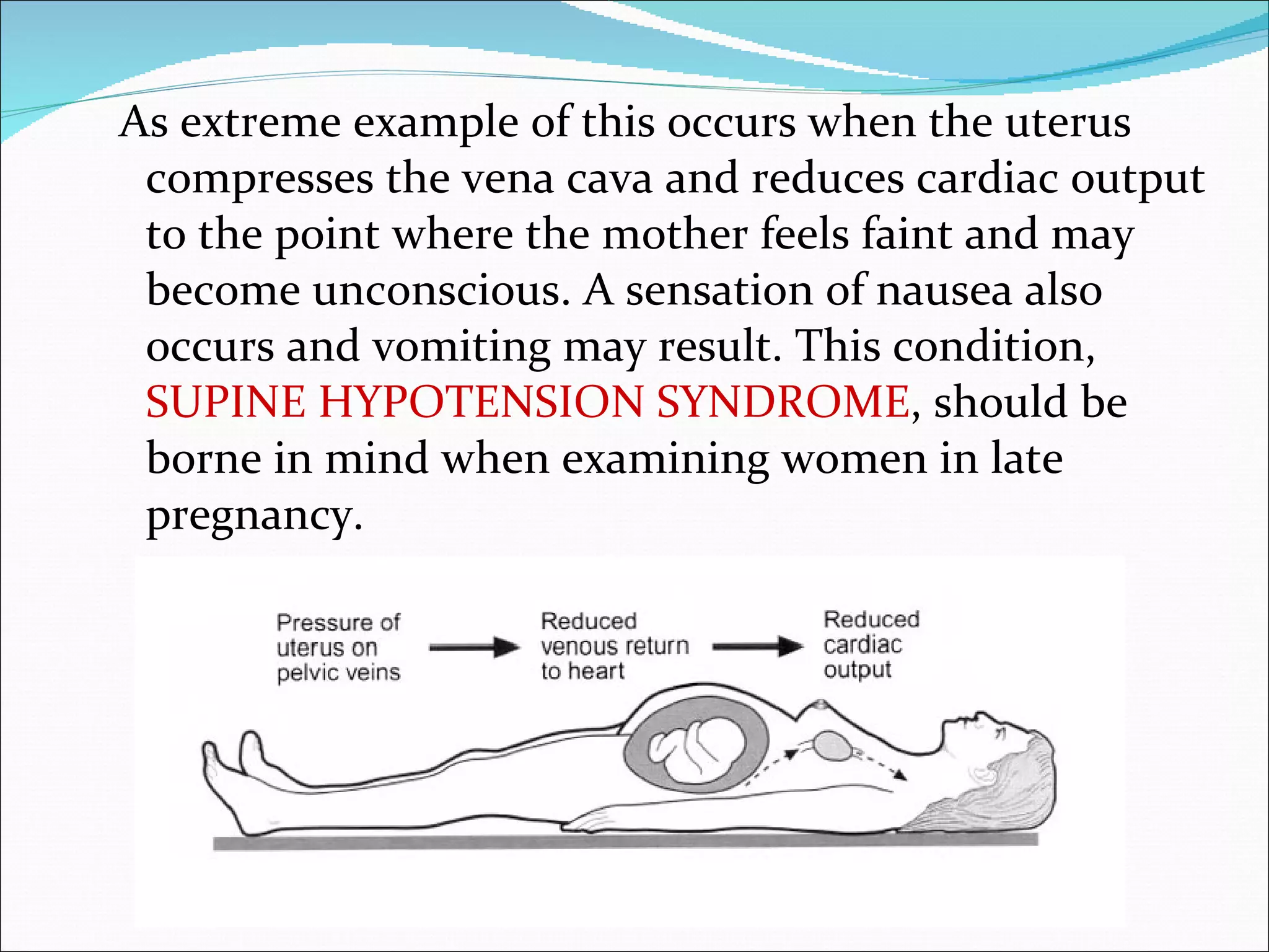 Obstetric terminology | PPT