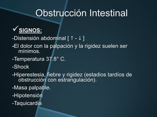Obstrucción intestinal | PPTX