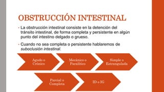 Obstrucción Intestinal Alta | PPTX