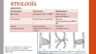 Obstrucción Intestinal Alta | PPTX