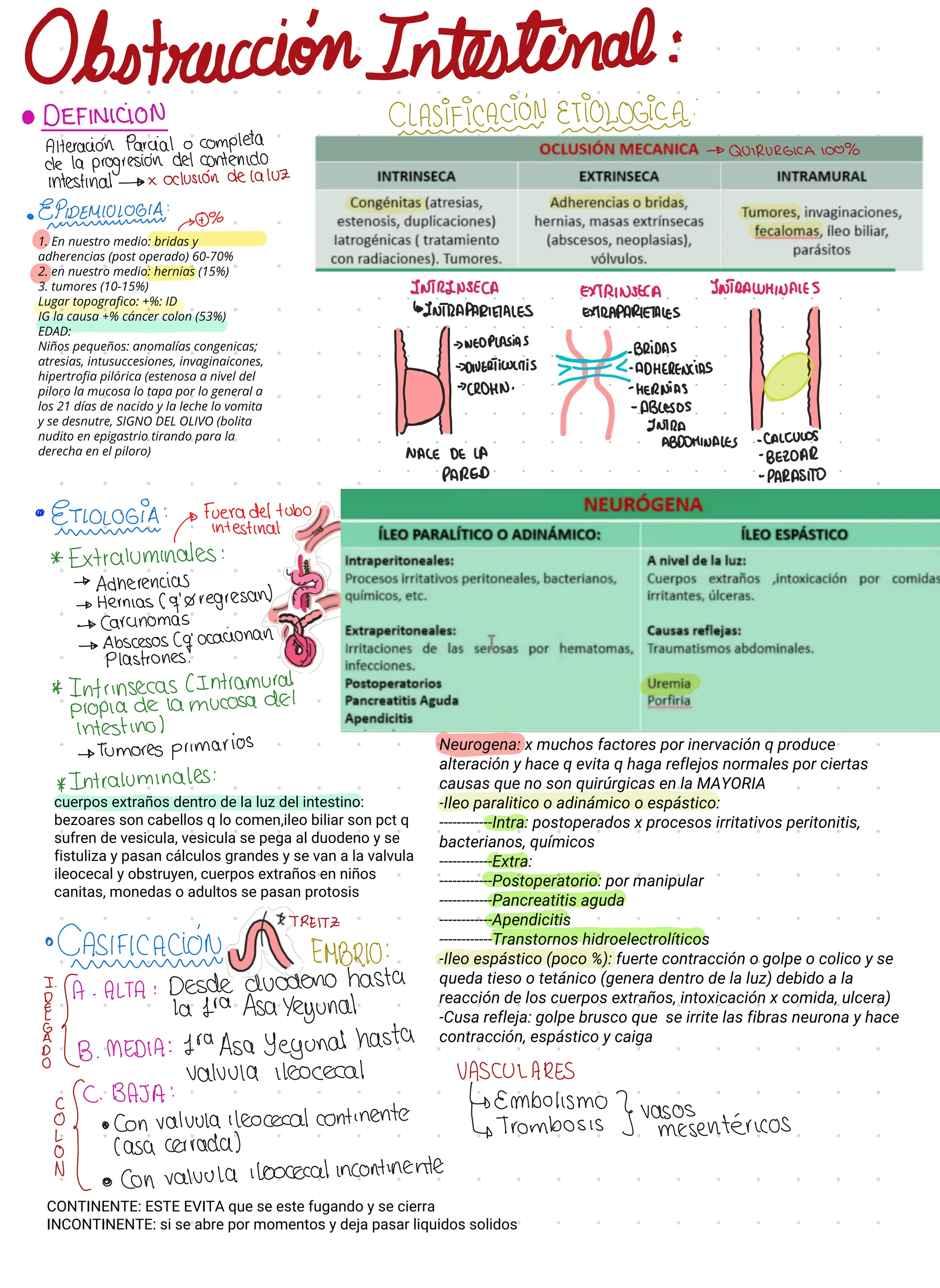 OBSTRUCCION INTESTINAL CIRUGÍA PRE INTERNADO | PDF