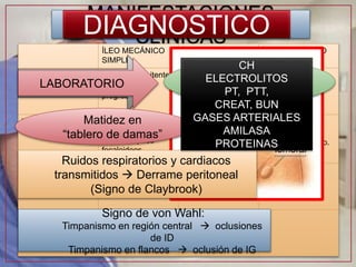 Obstruccion intestinal | PPTX