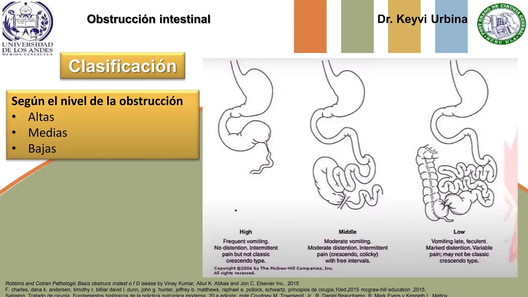 obstruccion intestinal, clasificacion.pptx