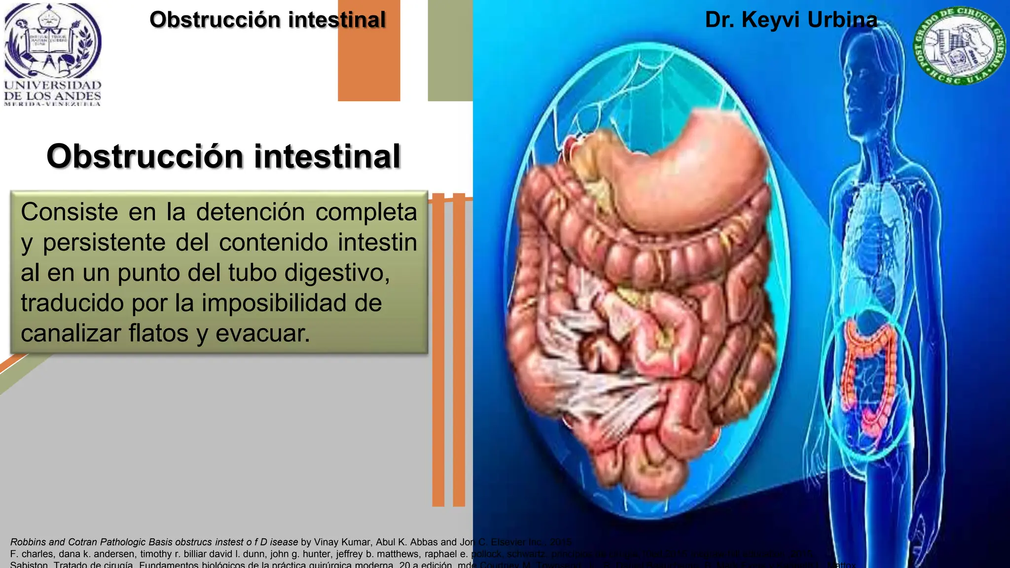 obstruccion intestinal, clasificacion.pptx
