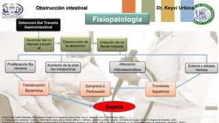 obstruccion intestinal, clasificacion.pptx