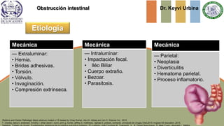 obstruccion intestinal, clasificacion.pptx