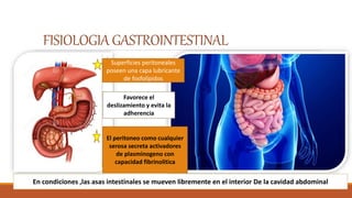 OBSTRUCCION INTESTINAL BAJA.pptx