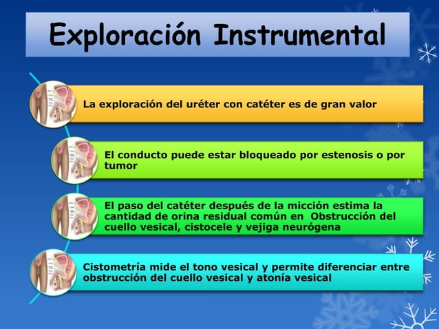 Obstruccion y estasis urinaria | PPTX