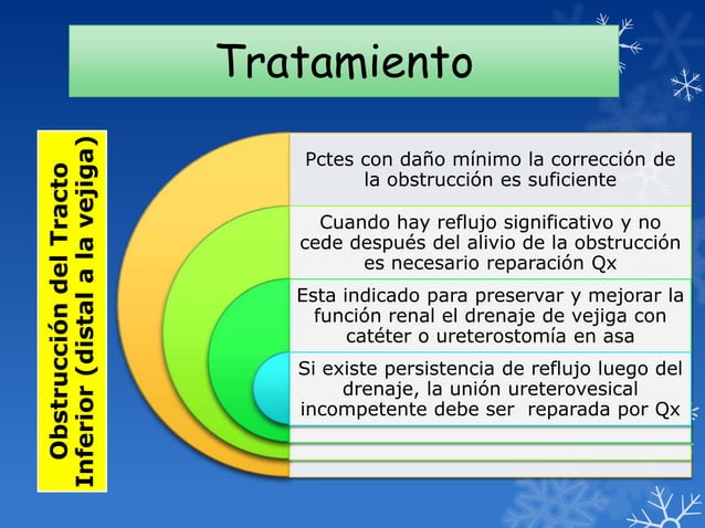 Obstruccion y estasis urinaria | PPTX