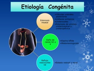 Obstruccion y estasis urinaria | PPTX