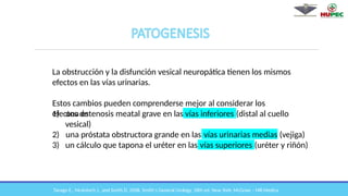 obstruccion y estasis urinario - UNERH.pptx