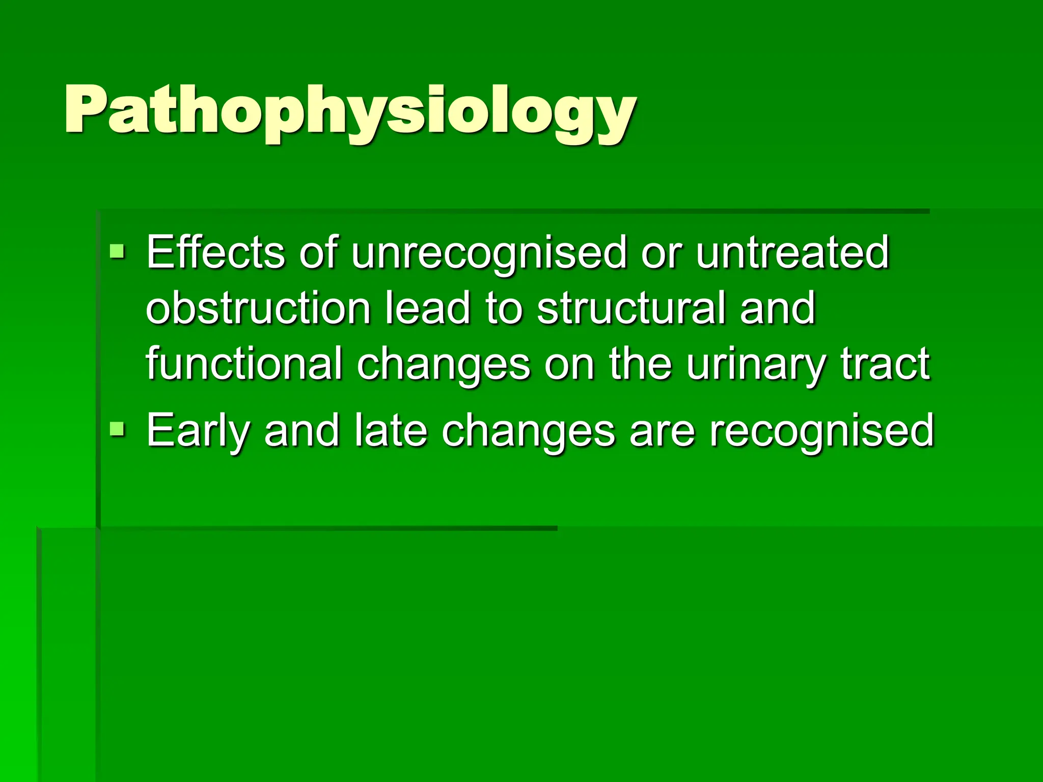 OBSTRUCTIVE-UROPATHY.powerpoint ppt11111 | PPT