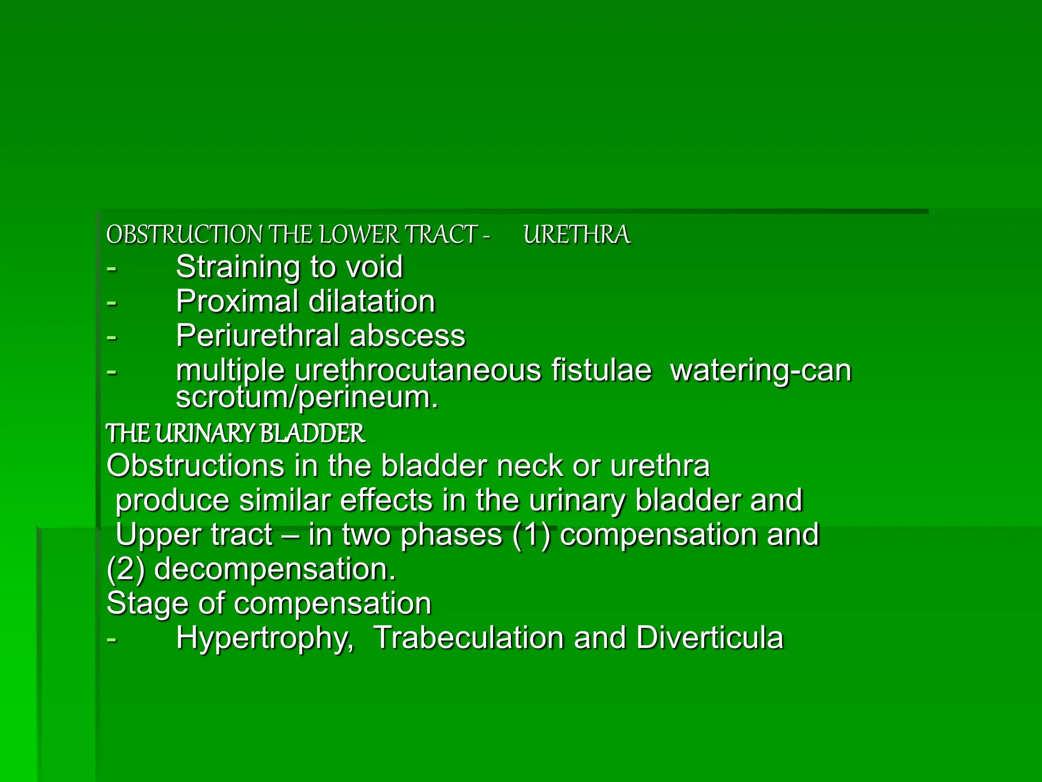 OBSTRUCTIVE-UROPATHY.powerpoint ppt11111 | PPT