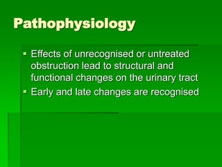 OBSTRUCTIVE-UROPATHY.powerpoint ppt11111 | PPT