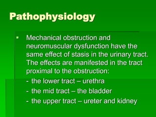 OBSTRUCTIVE-UROPATHY.powerpoint ppt11111 | PPT