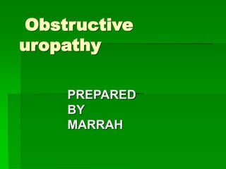 OBSTRUCTIVE-UROPATHY.powerpoint ppt11111 | PPT