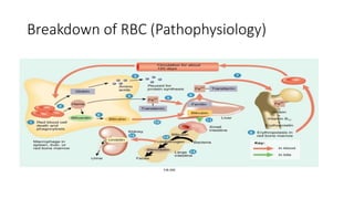 Obstructive jaundice.pptx