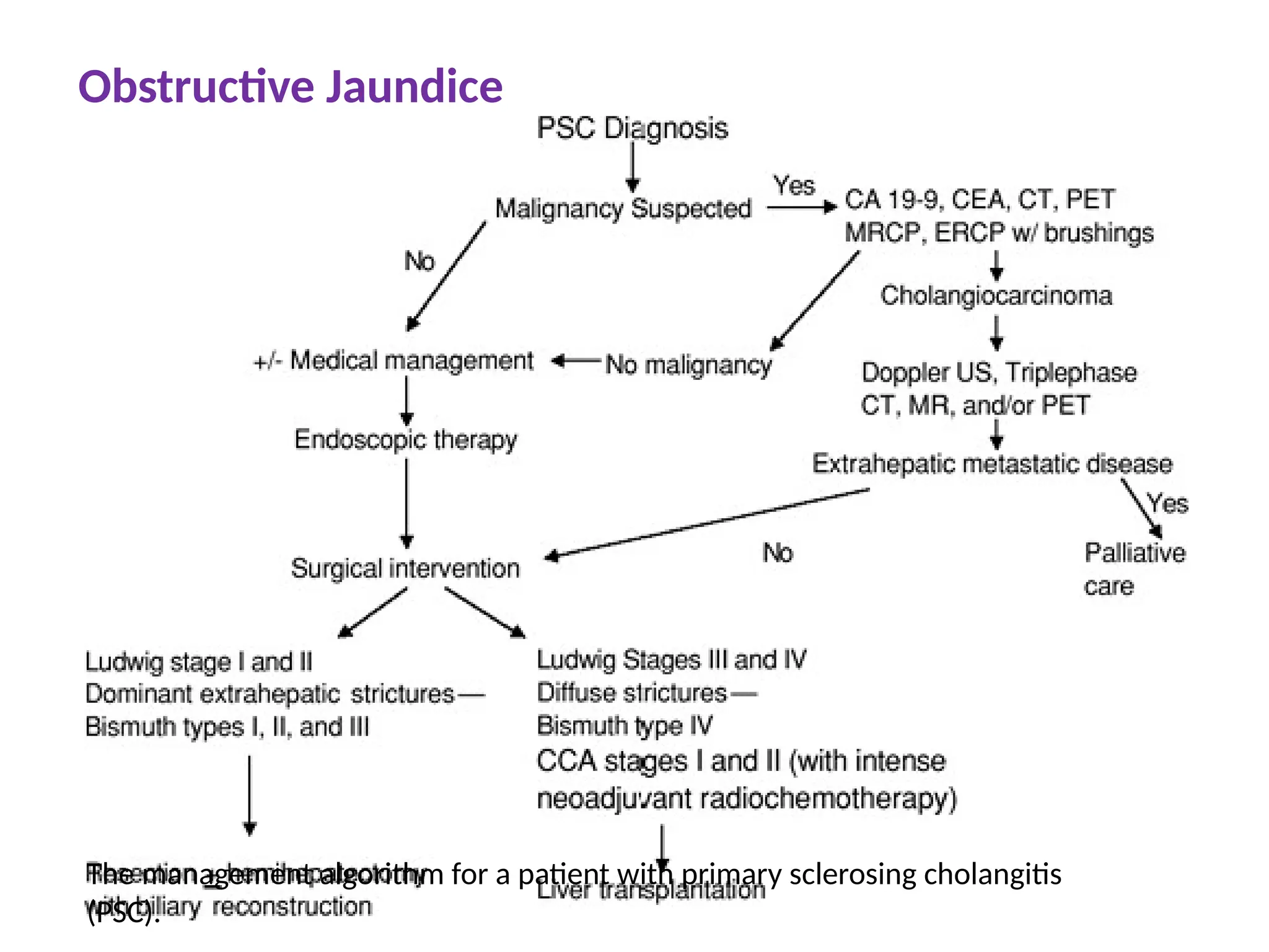 Causes of obstructive jaundice in surgical patients | PPT