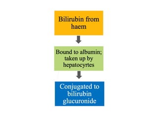 Obstructive Jaundice, causes, investigations.ppt