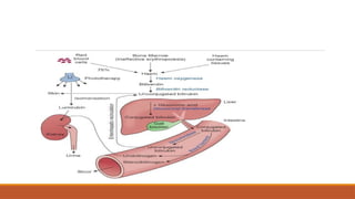 OBSTRUCTIVE JAUNDICE Obstructive jaundice the classification and basic ...