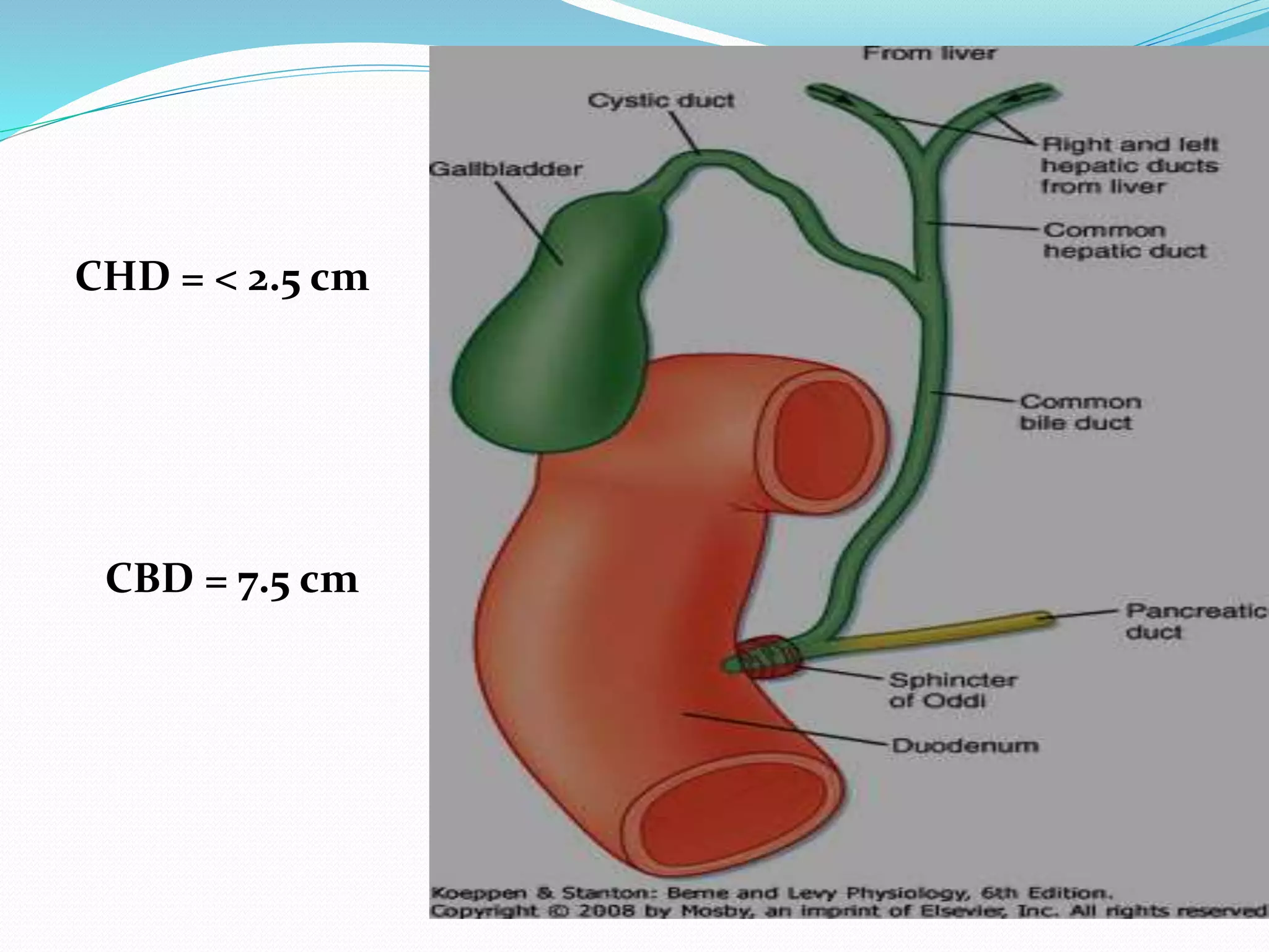 Obstructive _jaundice___Anatomy and Physiology | PPTX