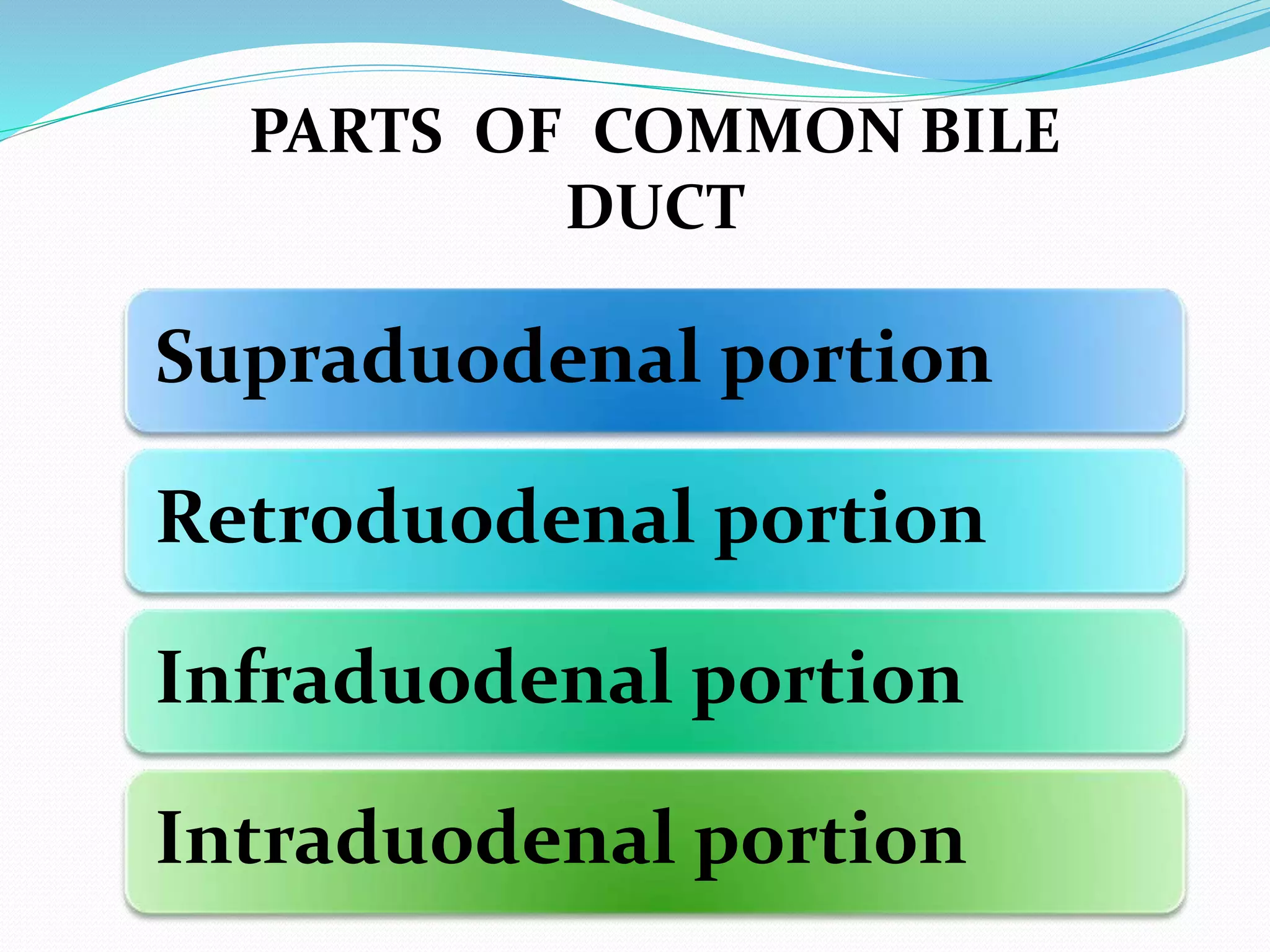 Obstructive _jaundice___Anatomy and Physiology | PPTX