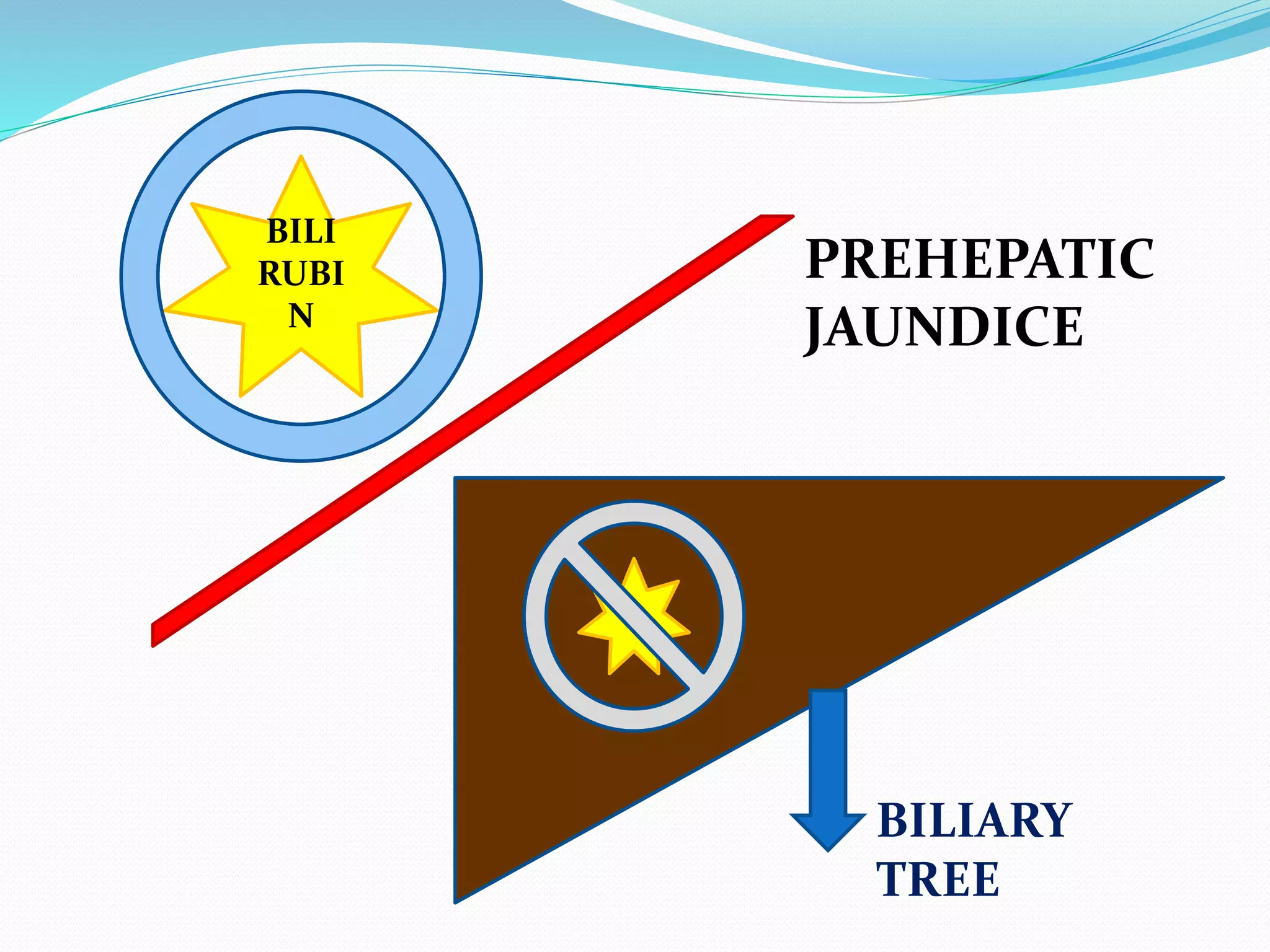 Obstructive _jaundice___Anatomy and Physiology | PPTX