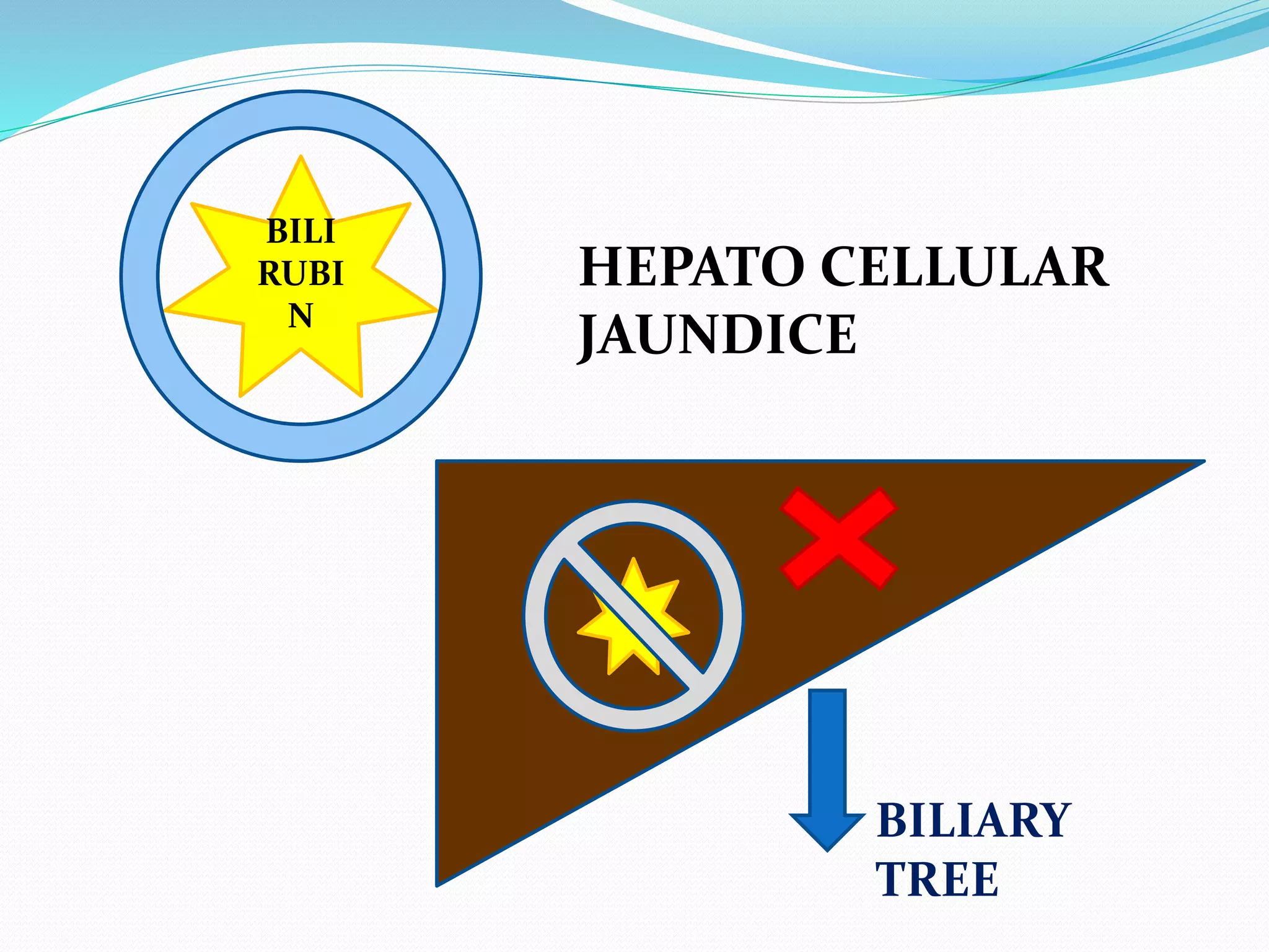 Obstructive _jaundice___Anatomy and Physiology | PPTX