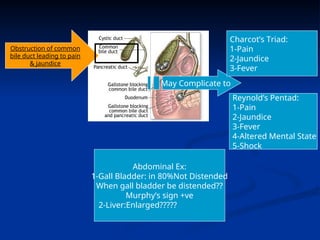 Obstructive Jaundice etiology and management the lect.ppt