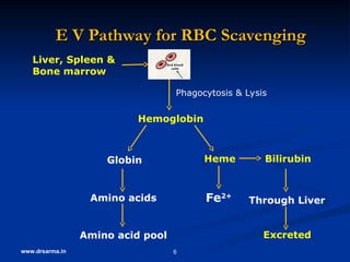 Obstructive Jaundice etiology and management the lect.ppt