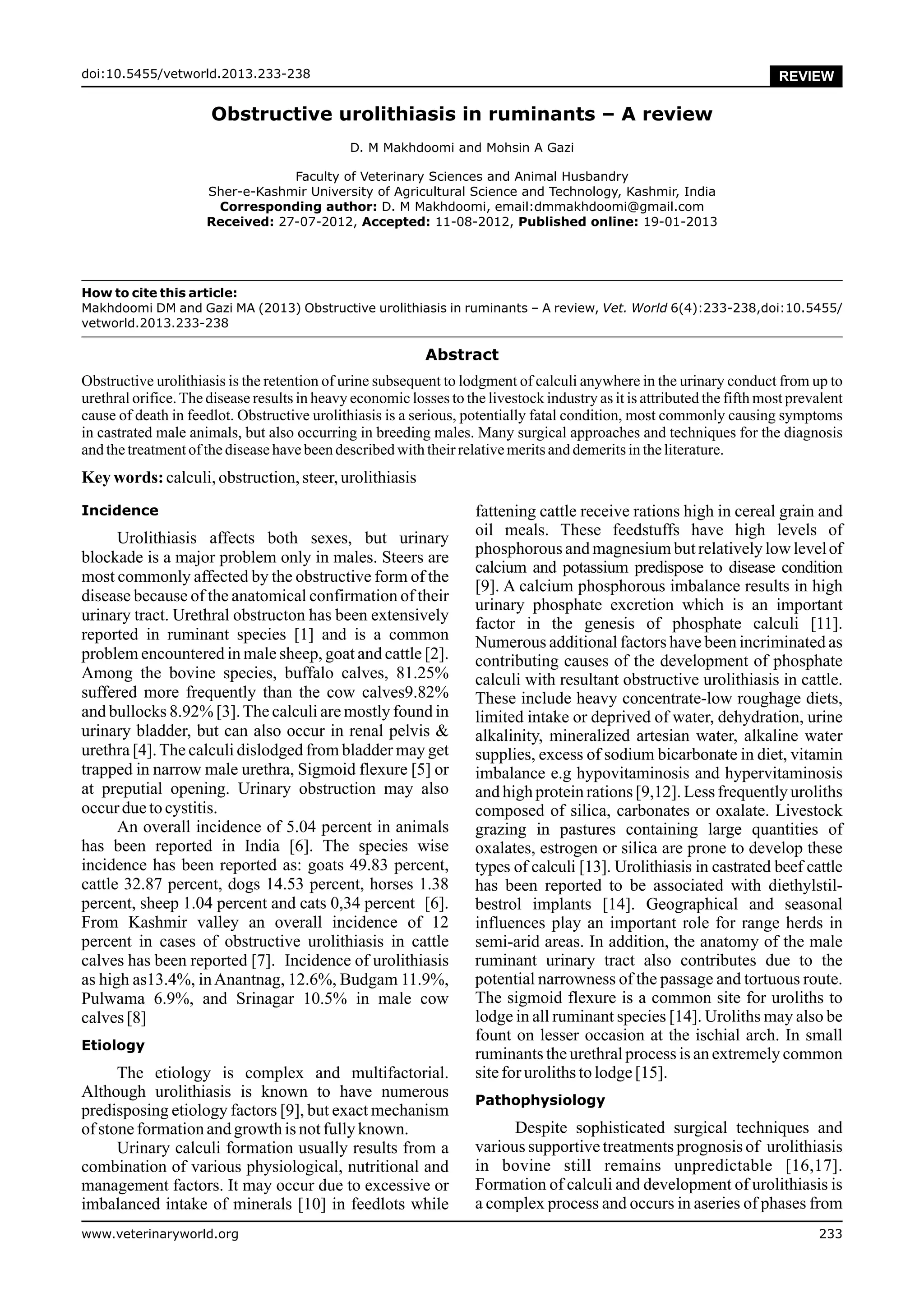 Obstructive urolithiasis in ruminants.pdf