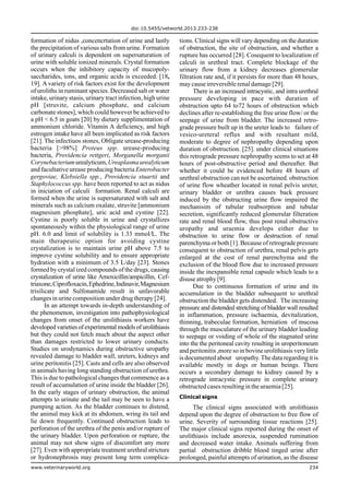 Obstructive urolithiasis in ruminants.pdf