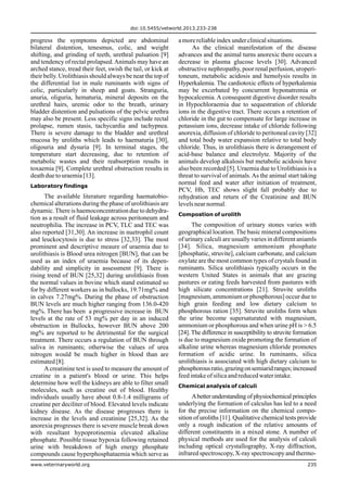 Obstructive urolithiasis in ruminants.pdf