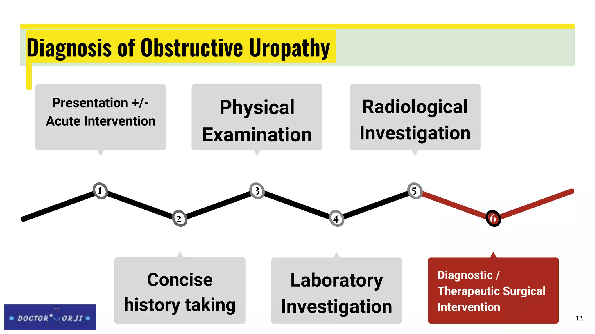 Obstructive Uropathy | PPTX