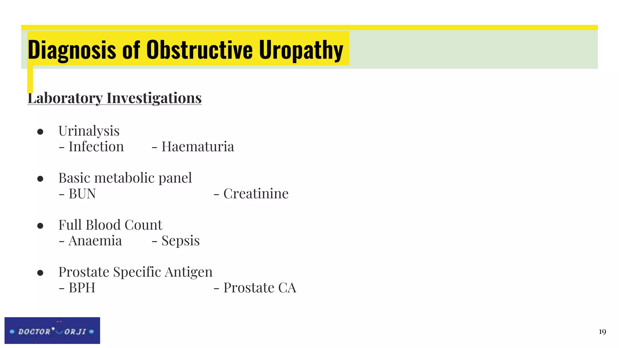 Obstructive Uropathy | PPTX