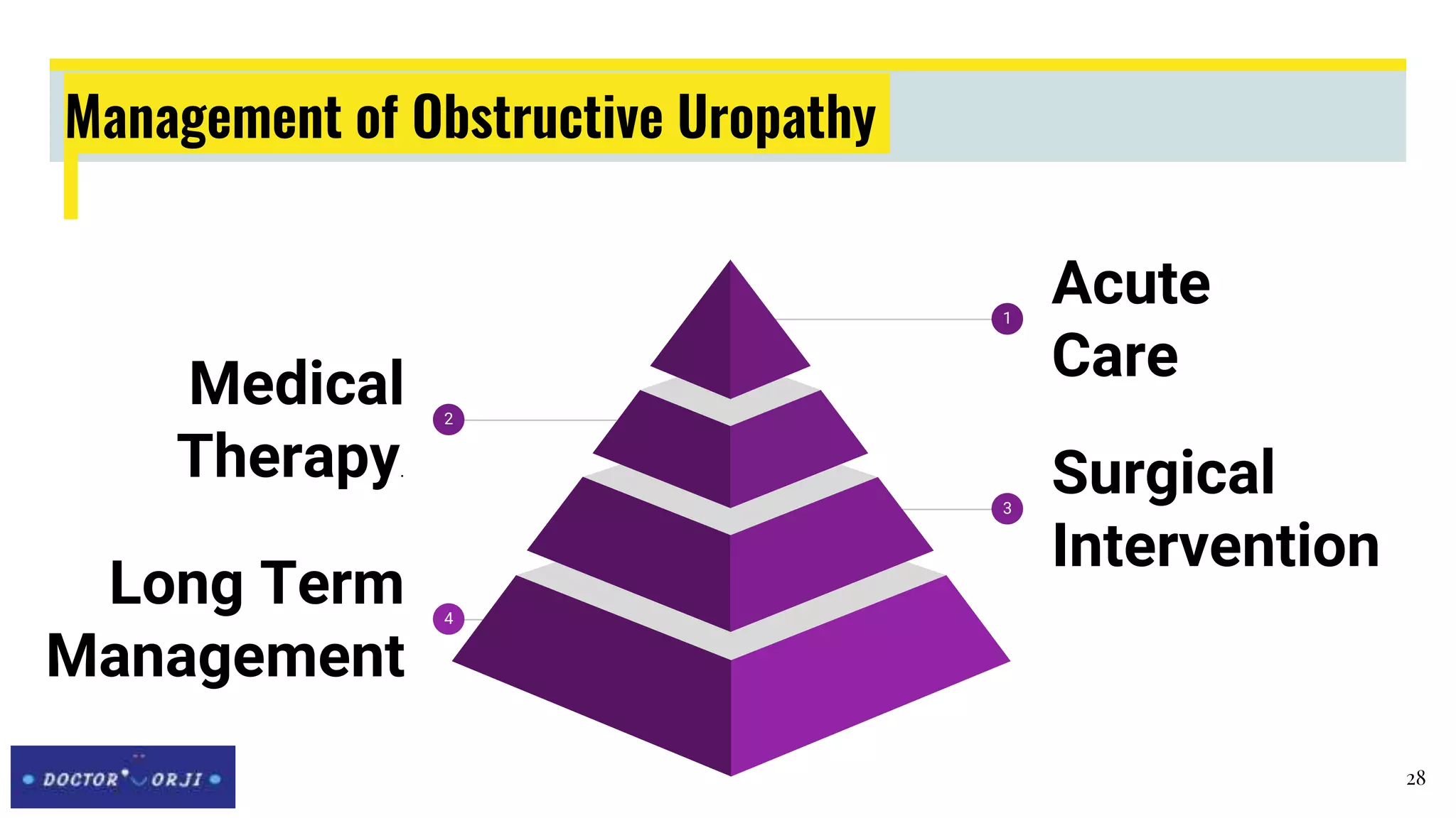 Obstructive Uropathy | PPTX