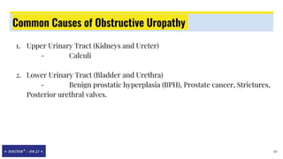 Obstructive Uropathy | PPTX