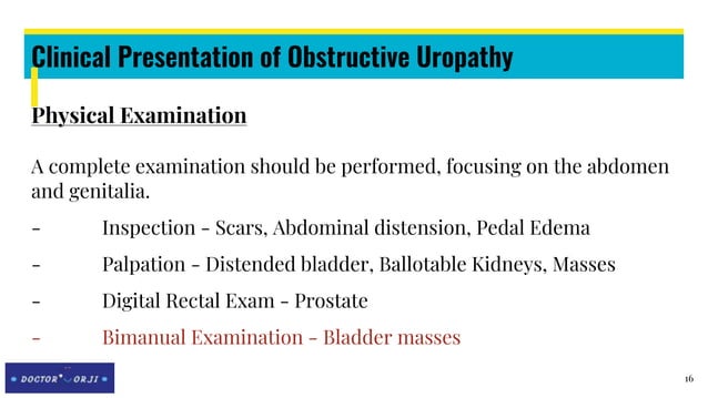 Obstructive Uropathy | PPTX
