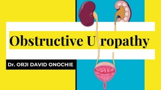 Obstructive Uropathy | PPTX