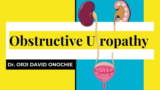 Obstructive Uropathy | PPTX