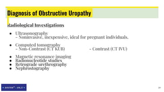 Obstructive Uropathy | PPTX