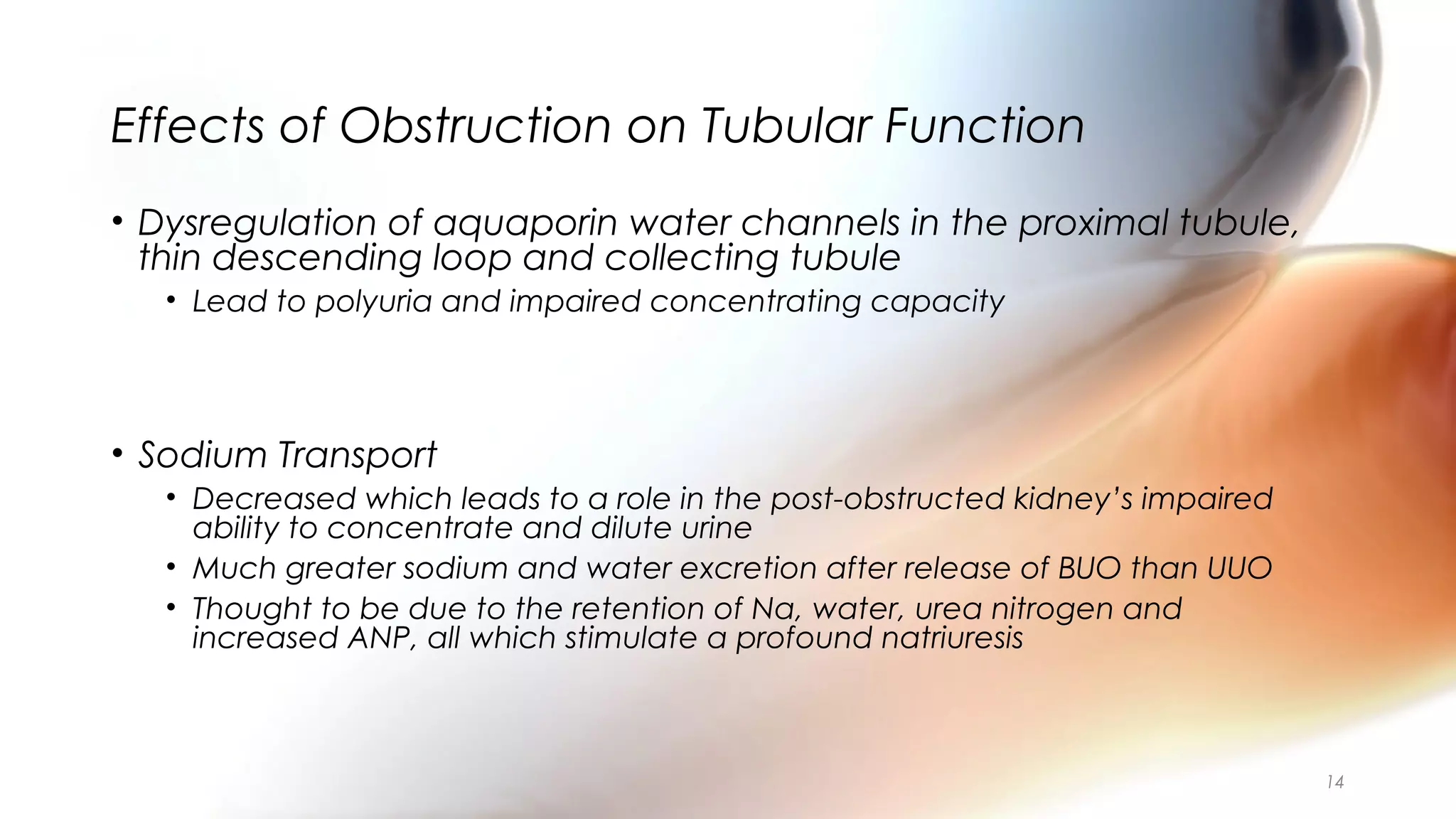 Obstructive uropathy | PPT