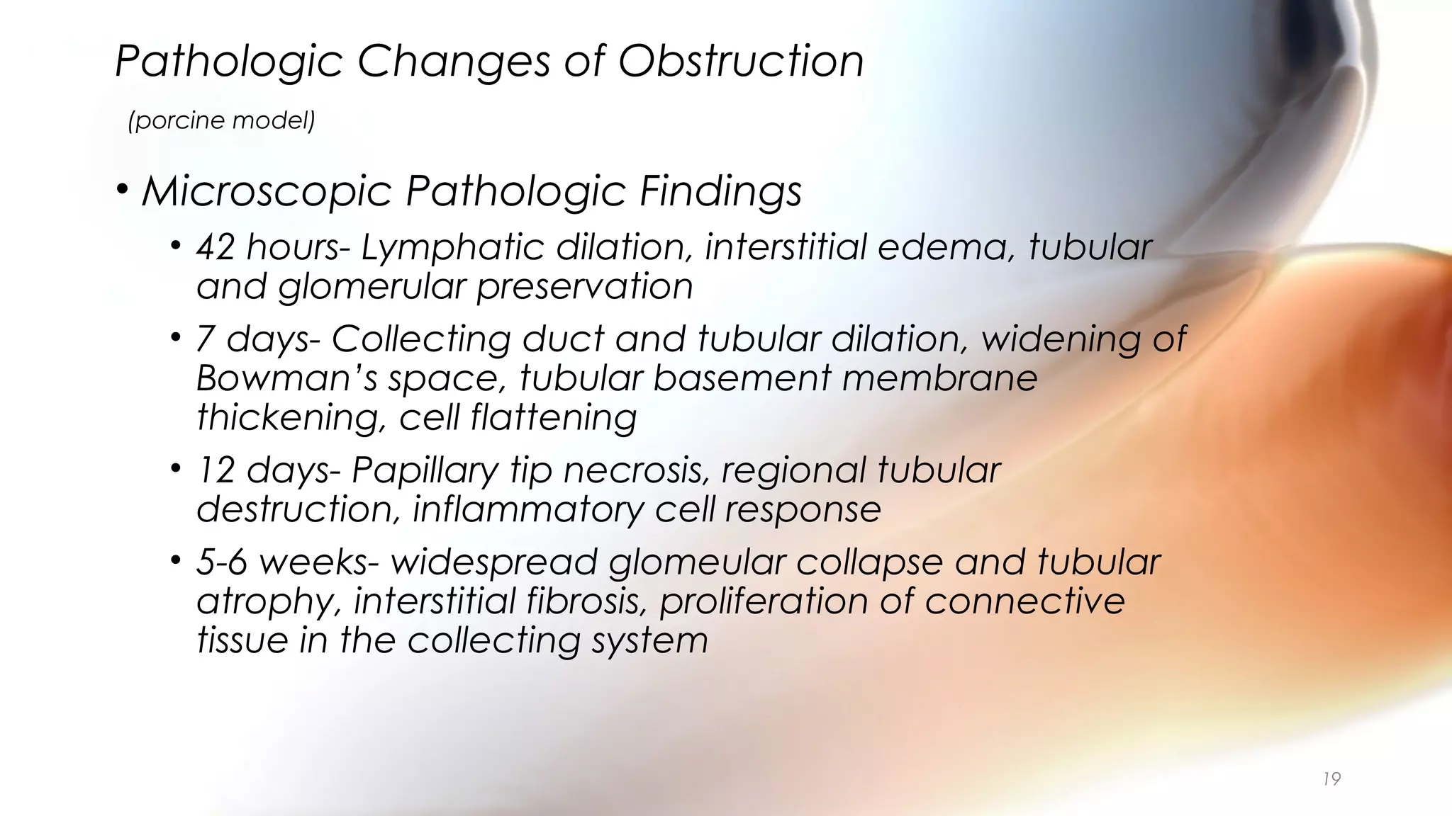 Obstructive uropathy | PPT