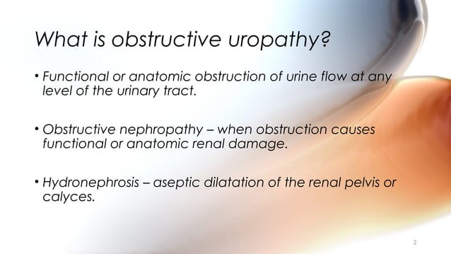 Obstructive uropathy | PPT | Digestive Disorders | Diseases and Conditions