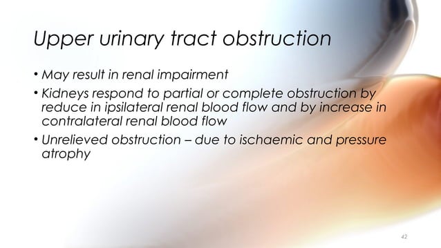 Obstructive uropathy | PPT | Digestive Disorders | Diseases and Conditions